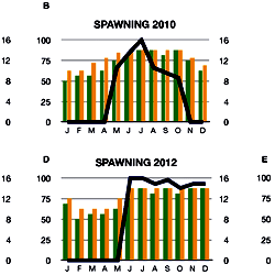 Expansion of the spawning season in the amphioxus facility.