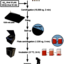 A flow diagram of the microliter-scale high-throughput screening system.