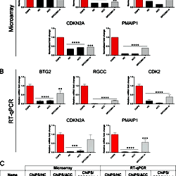 Real time qPCR validation of microarray data.