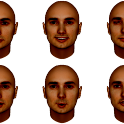 The human-like face created by Facegen and how the 3D face looks with ...