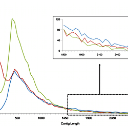 Frequency of contig lengths for three transcriptome assembly methods.