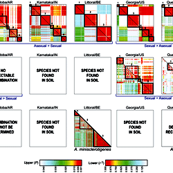 LD plots in which the upper triangular matrix represents the P values ...
