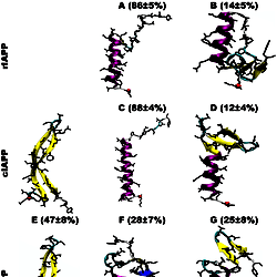 Representative structures of super structural families for each IAPP ...