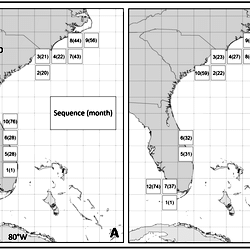 Temporal-spatial progression map.