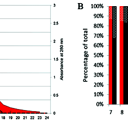 Comparative distribution and quantitation of proteins and polyphenols ...