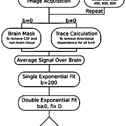 Flow chart showing the steps of the quantitative analysis algorithm.