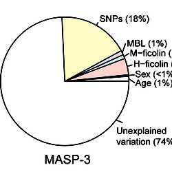 Explained and unexplained variation in the three MASP1 proteins.