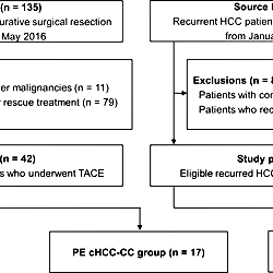 Patient flow diagram.
