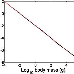 Linear size spectrum.