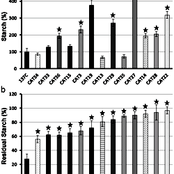 Starch deposition and kinetics of starch mobilization in class 3 mutants.