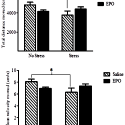 Total distance moved (top panel) and velocity of movement (bottom panel ...