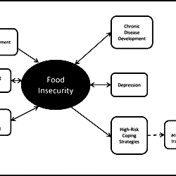 Conceptual framework for the relationships between potential correlates ...