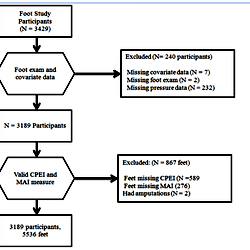 Inclusion flow chart.