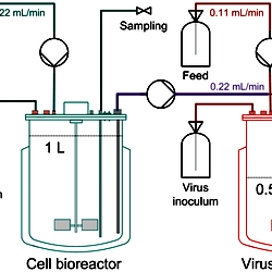 Overview of two-stage bioreactor setup for continuous virus propagation.