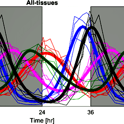Responses of the consensus model describing the overall data from four ...