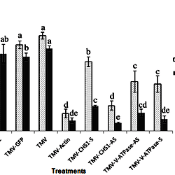 Emergence of P. citri crawlers and their survival on plants inoculated ...