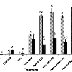 Mortality in P. citri adults and crawlers on plants inoculated with ...