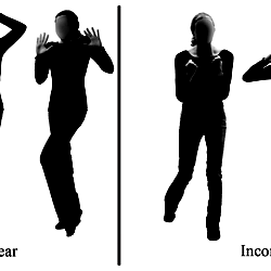 Stimuli presented in flanker task.