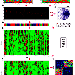 Schematic presentation of phase synchronization analyses.
