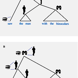 Meaning depends on syntactic structure.