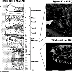 Stratigraphic and photographic documentation of the Ksar Akil excavations.