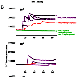 PTA precipitation increases sensitivity of the RT-QuIC assay.