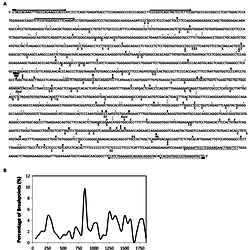 Location of APH-induced DNA breakpoints within intron 11 of RET ...