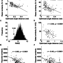Performance of the optimized angle distance model on independent data.