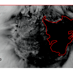 Comparison of the surviving portion of the skin flap.