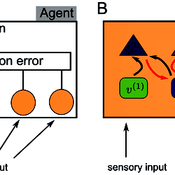 Schematic structure of an agent and a module.