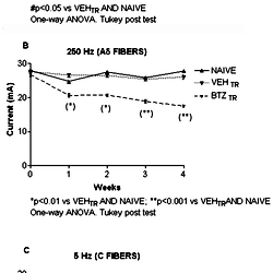 Neurometer, experiment 1.