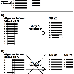 Conserved region merge and modification.
