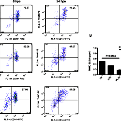 Membrane and soluble thrombomodulin (THBD) measurement.