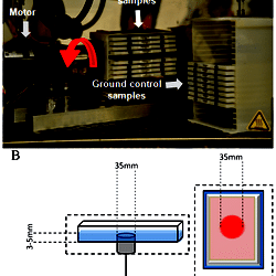 Simulated microgravity (SMG) bioreactor.