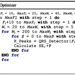 Pseudocode for the brute-force optimizer.