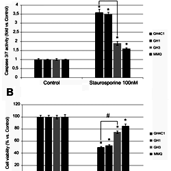 Effects of Staurosporine on caspase 3/7 activation and cell viability in GH1, GH3, GH4C1 and MMQ ...