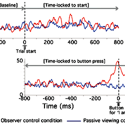 Examples of MEG data.
