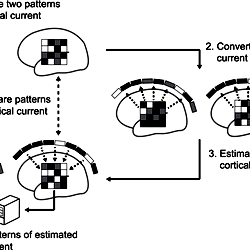 Schematic view of multivariate pattern analysis of cortical current ...