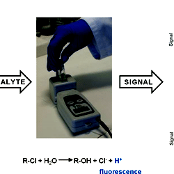 A schematic representation of the biodetection systems and data ...