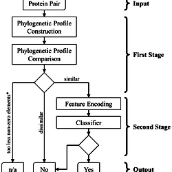 Workflow of the proposed two-stage framework of functional linkage prediction.
