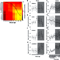 Comparison with human data.