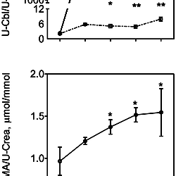 Cbl and MMA levels in mouse urine.