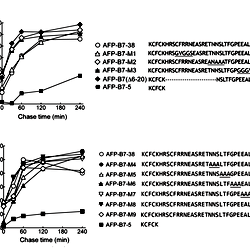 The B7 cytoplasmic tail does not appear to possess a linear ER export ...
