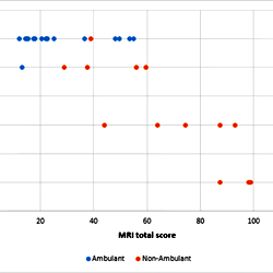 Pul entry items and MRI total scores.