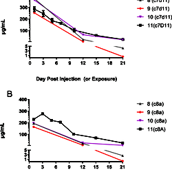 Levels of c8A and c7D11monoclonal antibodies in infected and uninfected ...