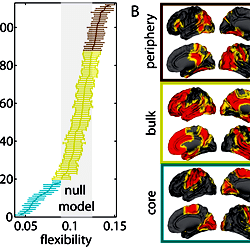 Temporal core-periphery organization of the brain.
