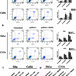 The impact of TROP2 expression on cell apoptosis.