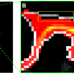 FSL2 outputs overlaid on a FA map.