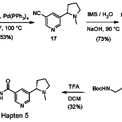 Synthesis of Hapten 5.