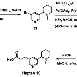 Synthesis of Hapten 10.